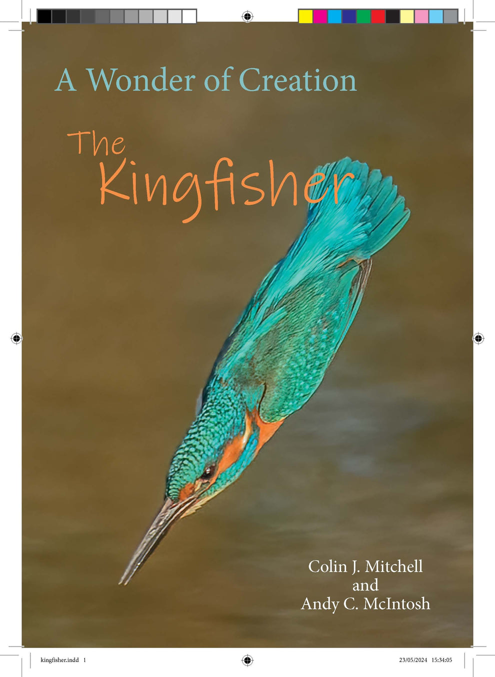 Wonder of a Kingfisher – Day One Trade
